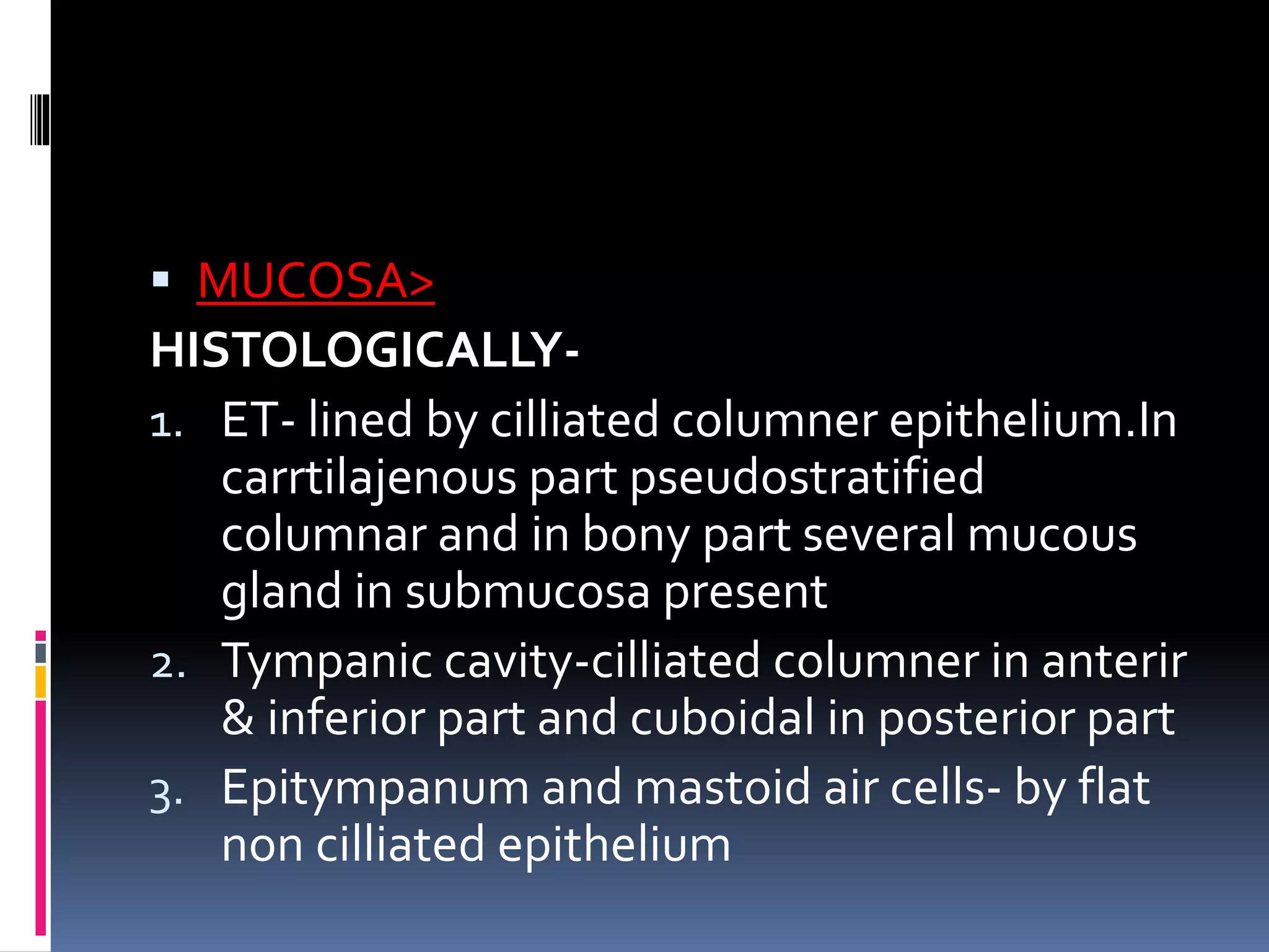 Anatomy Of Middle Ear Cleft | PPTX