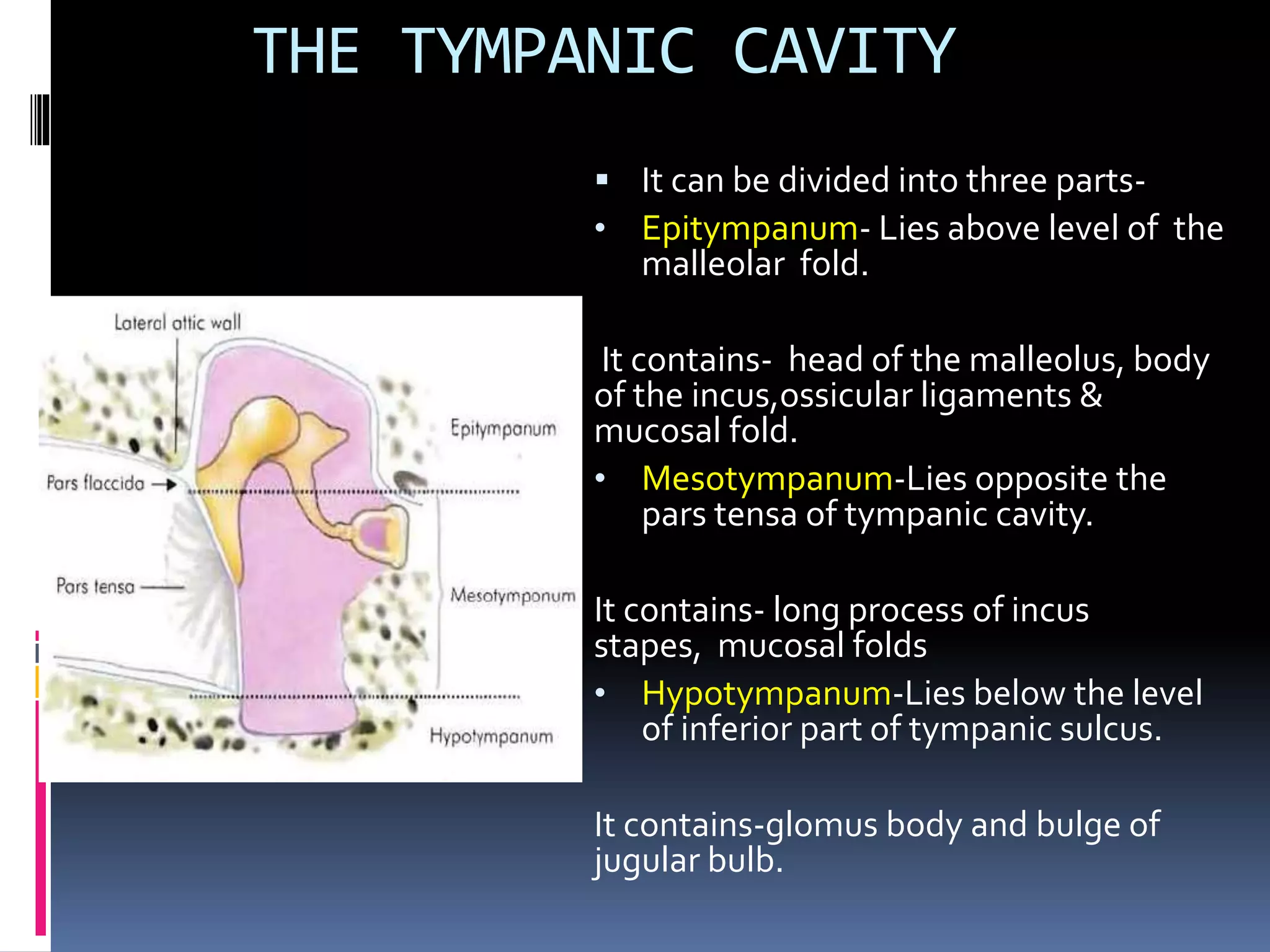 Anatomy Of Middle Ear Cleft | PPT
