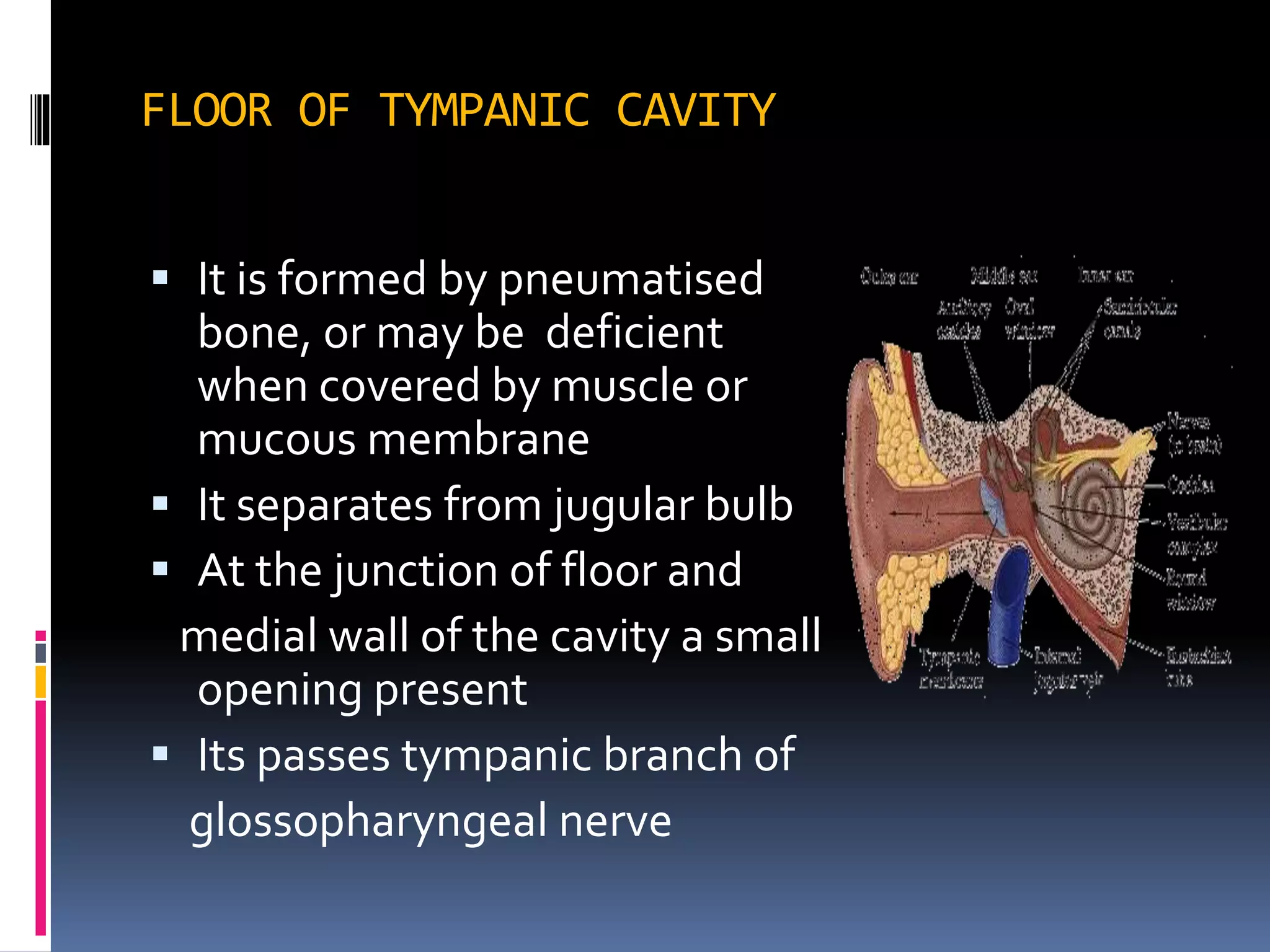 Anatomy Of Middle Ear Cleft | PPTX