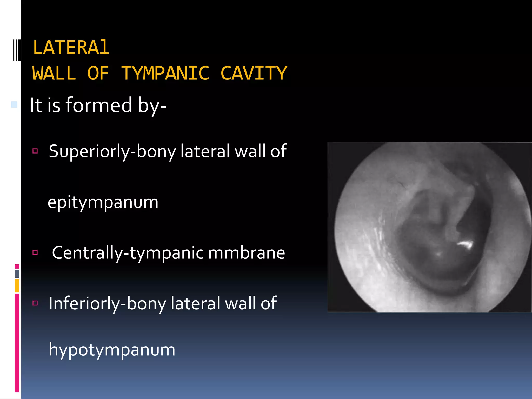 Anatomy Of Middle Ear Cleft | PPTX