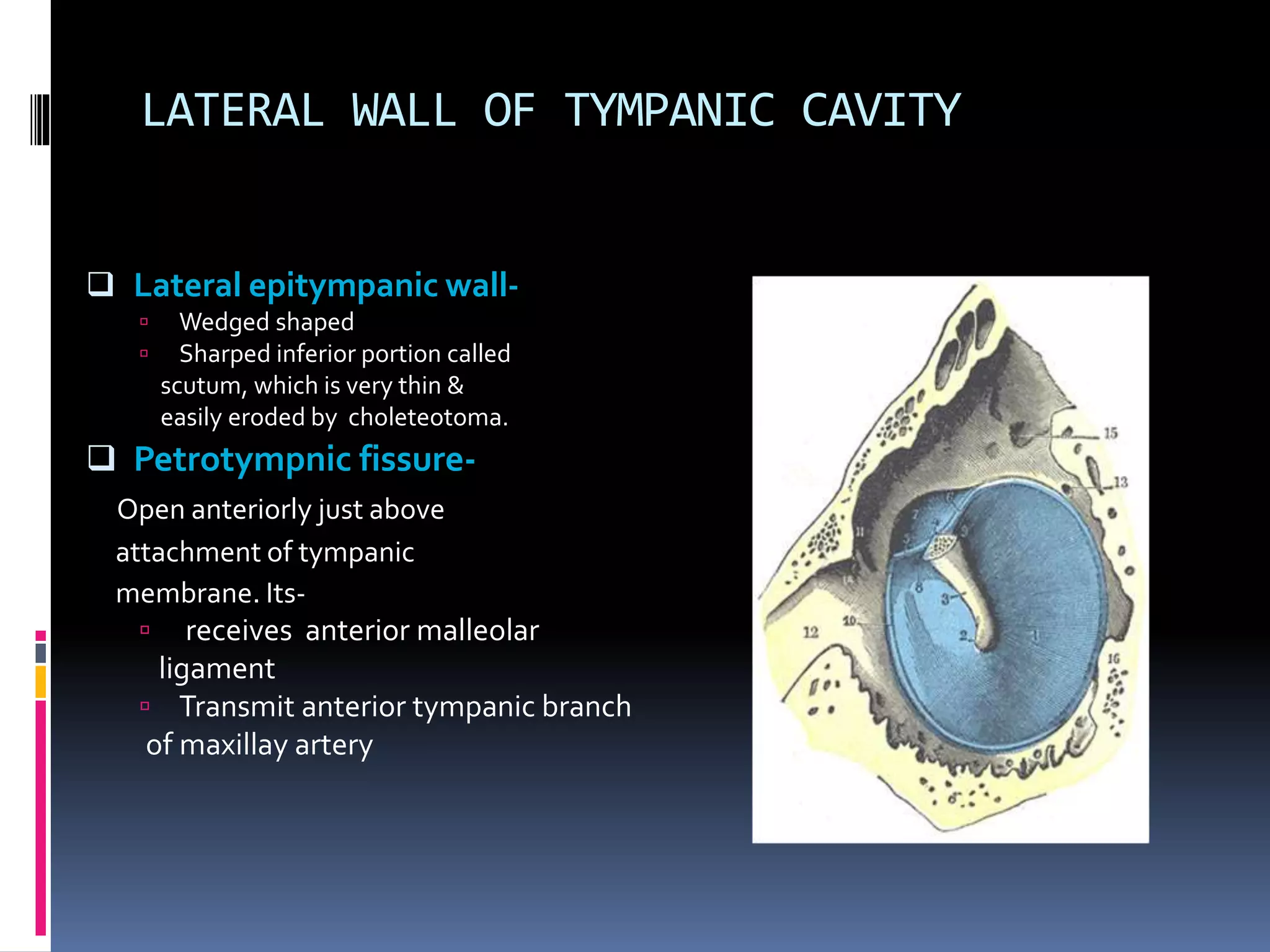 Anatomy Of Middle Ear Cleft | PPTX