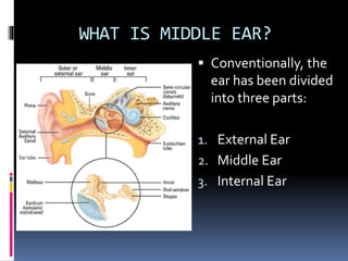 Anatomy Of Middle Ear Cleft | PPTX