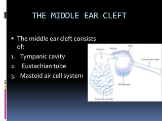 Anatomy Of Middle Ear Cleft | PPTX