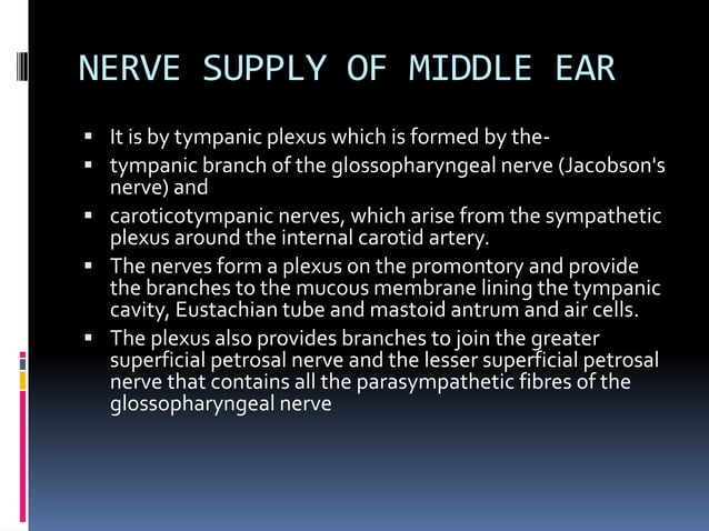 Anatomy Of Middle Ear Cleft | PPTX
