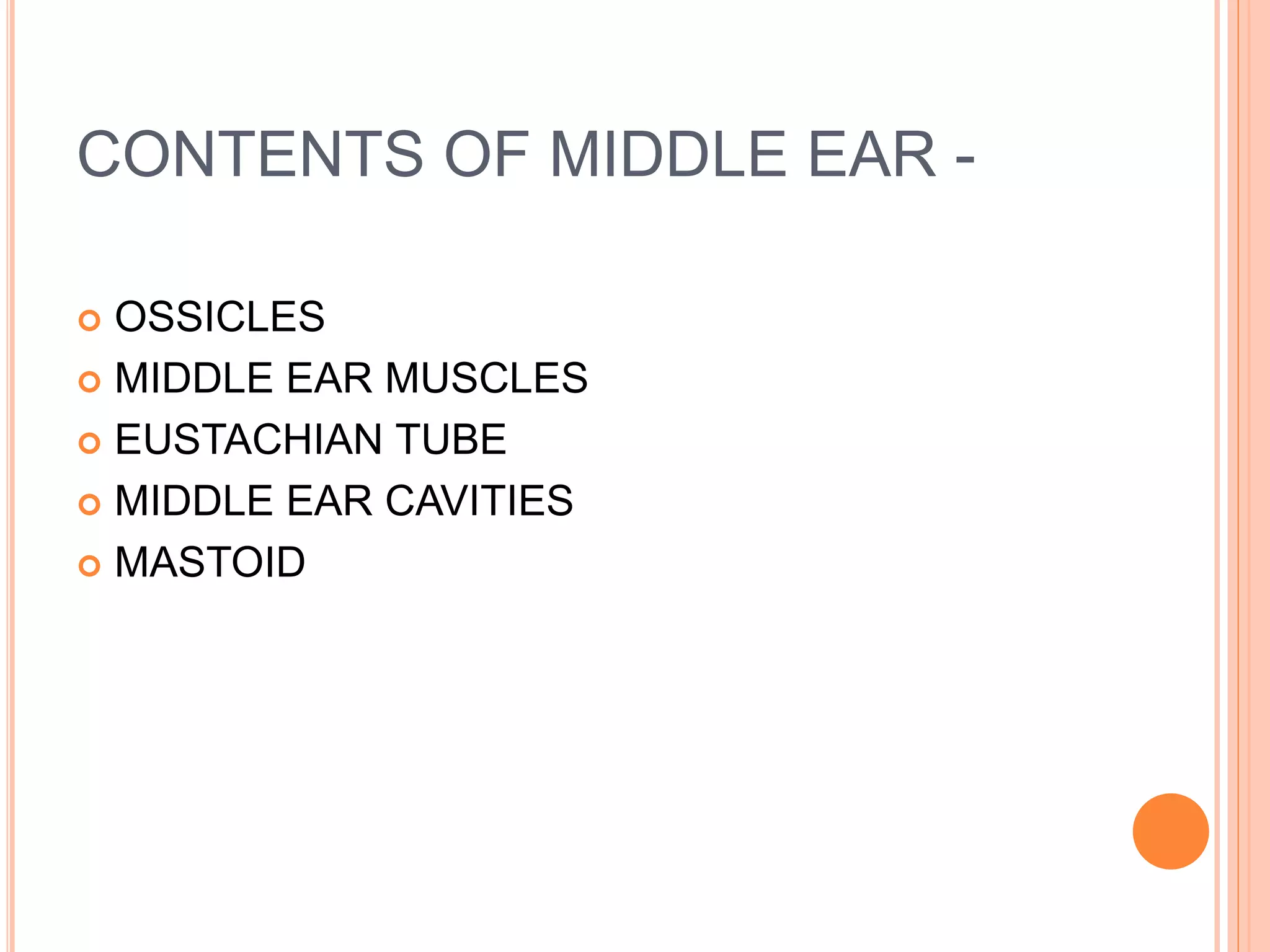 Middle ear anatomy | PPTX