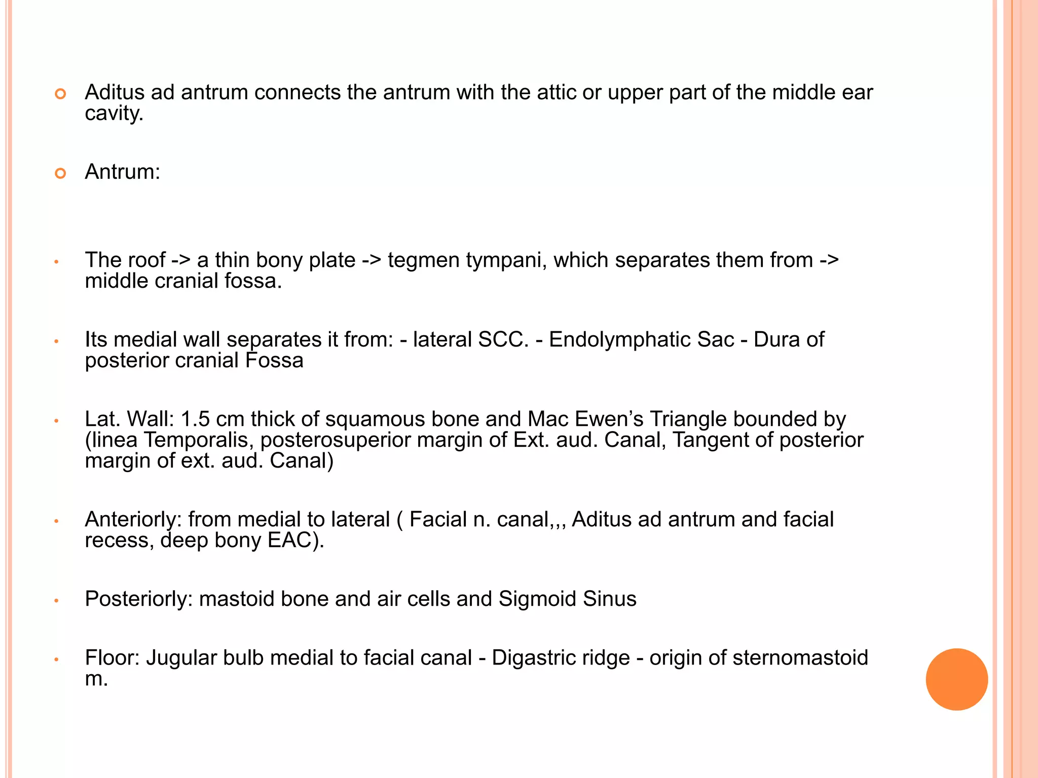 Middle ear anatomy | PPTX