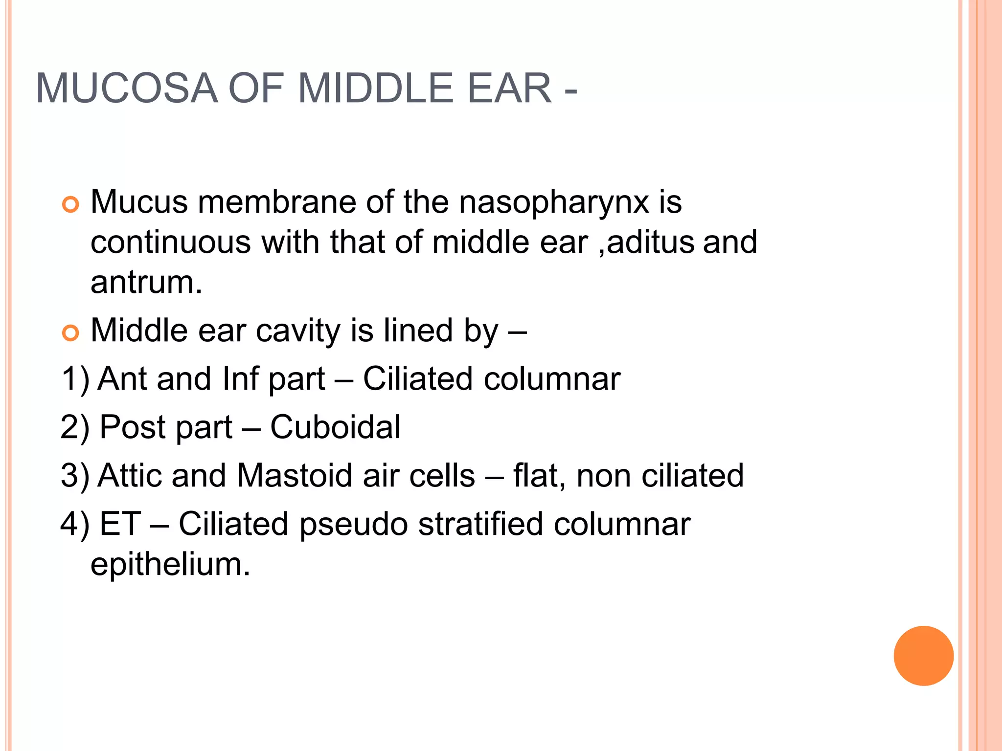 Middle ear anatomy | PPTX