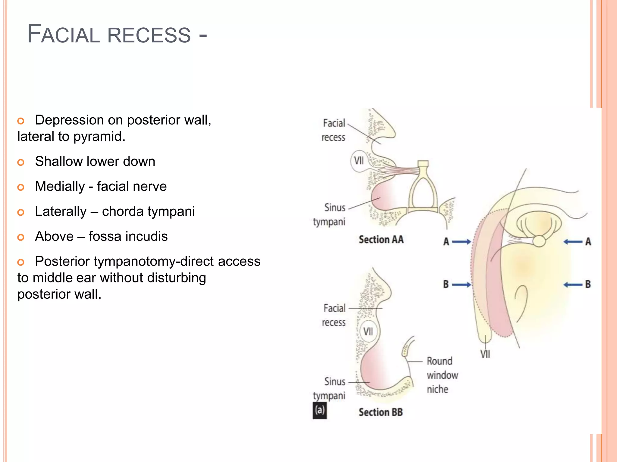 Middle ear anatomy | PPTX