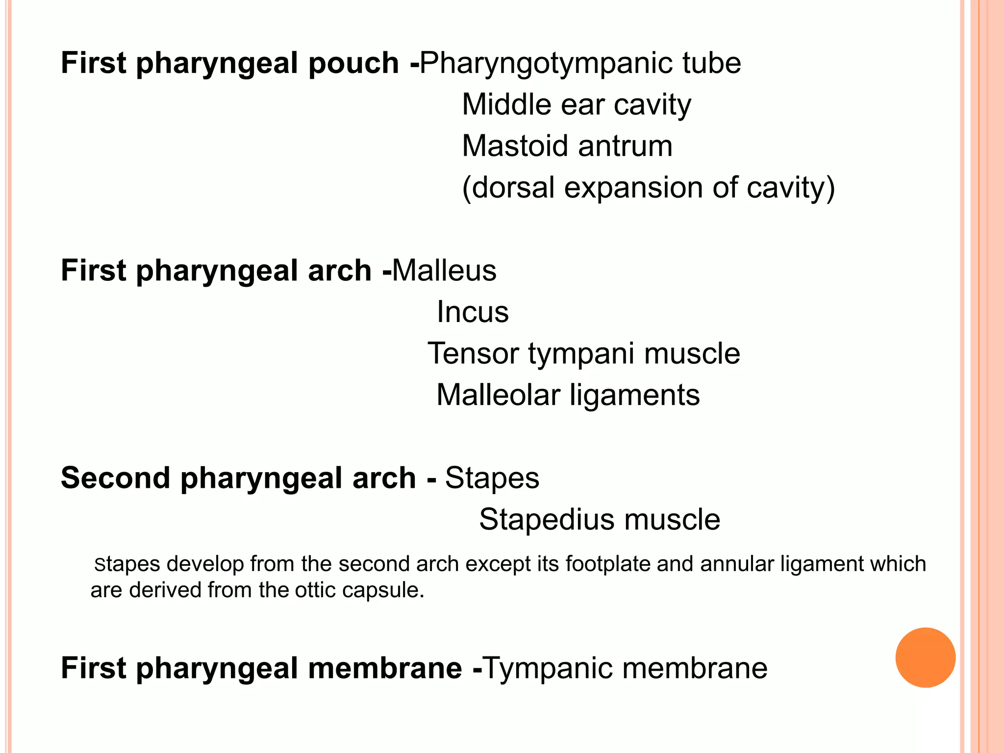 Middle ear anatomy | PPTX