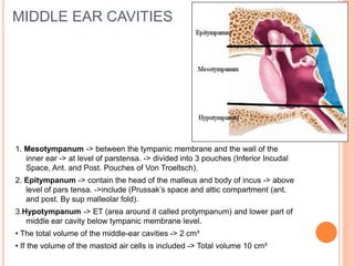 Middle ear anatomy | PPTX