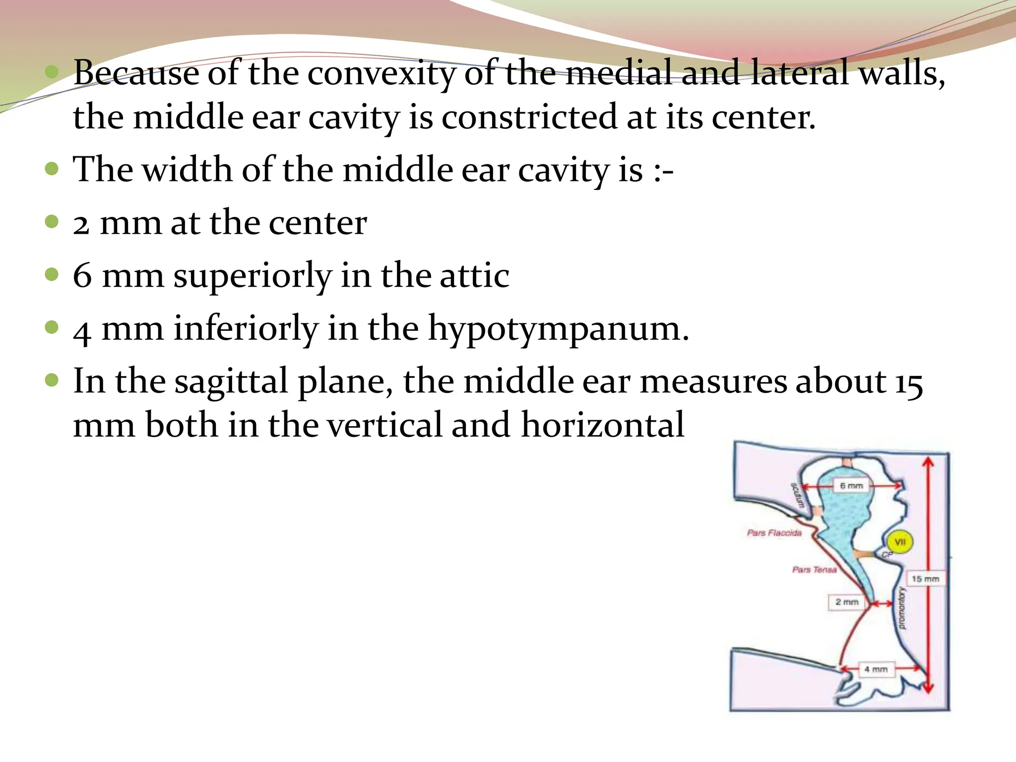 Middle Ear Anatomy.pptx