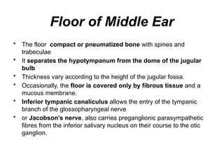 Middle Ear Anatomyof human body ENT.pptx
