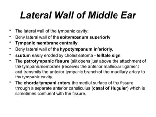 Middle Ear Anatomyof human body ENT.pptx