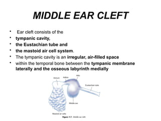 Middle Ear Anatomyof human body ENT.pptx