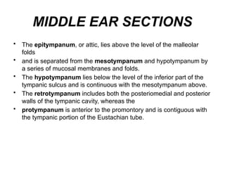 Middle Ear Anatomyof human body ENT.pptx