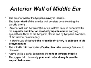 Middle Ear Anatomyof human body ENT.pptx