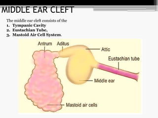 MIDDLE EAR SURGICAL ANATOMY .pptx