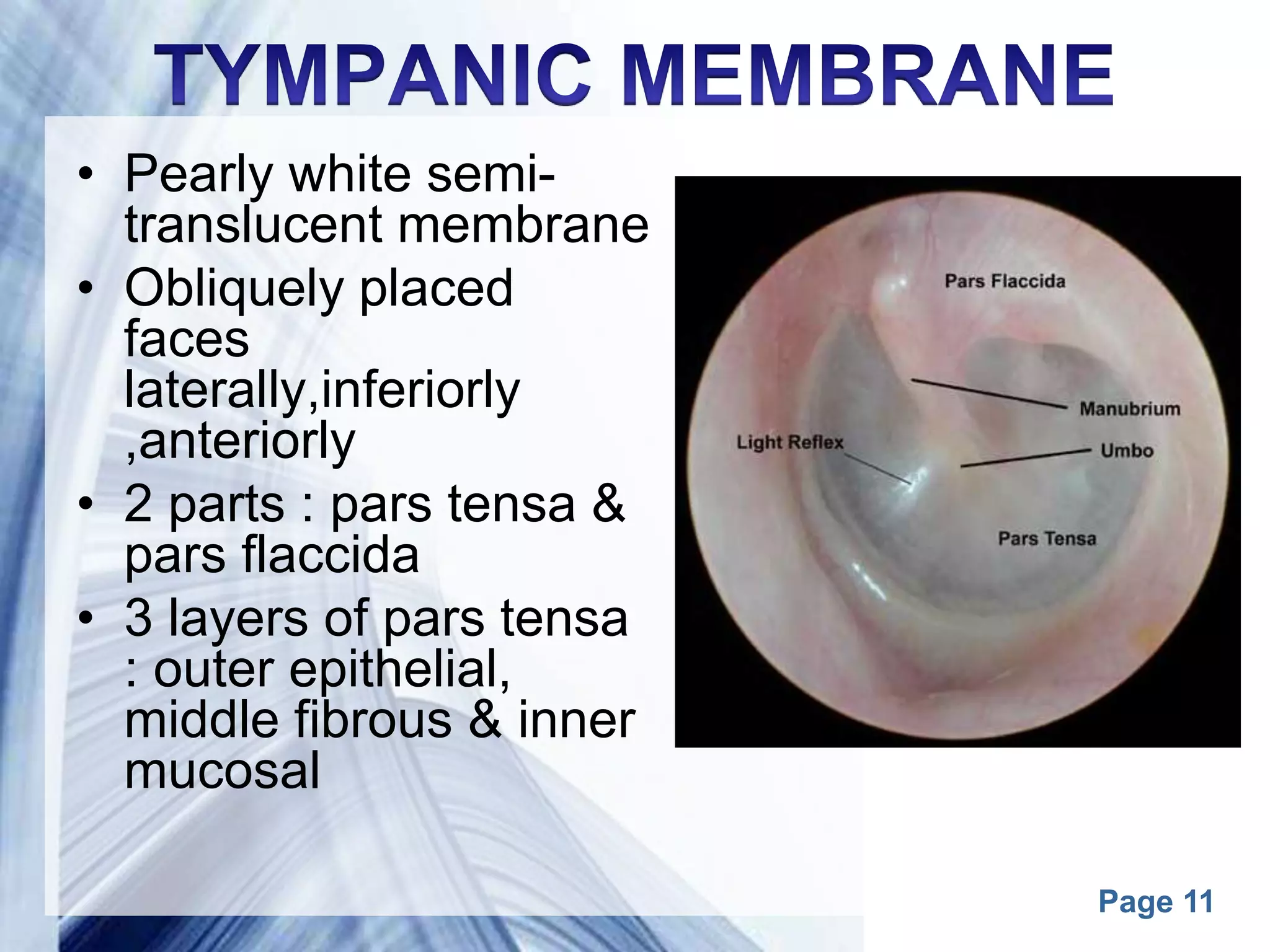 Middle ear anatomy | PPTX