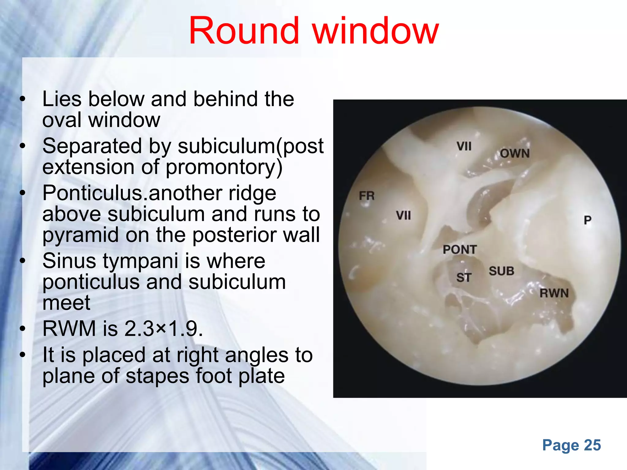 Middle ear anatomy | PPTX