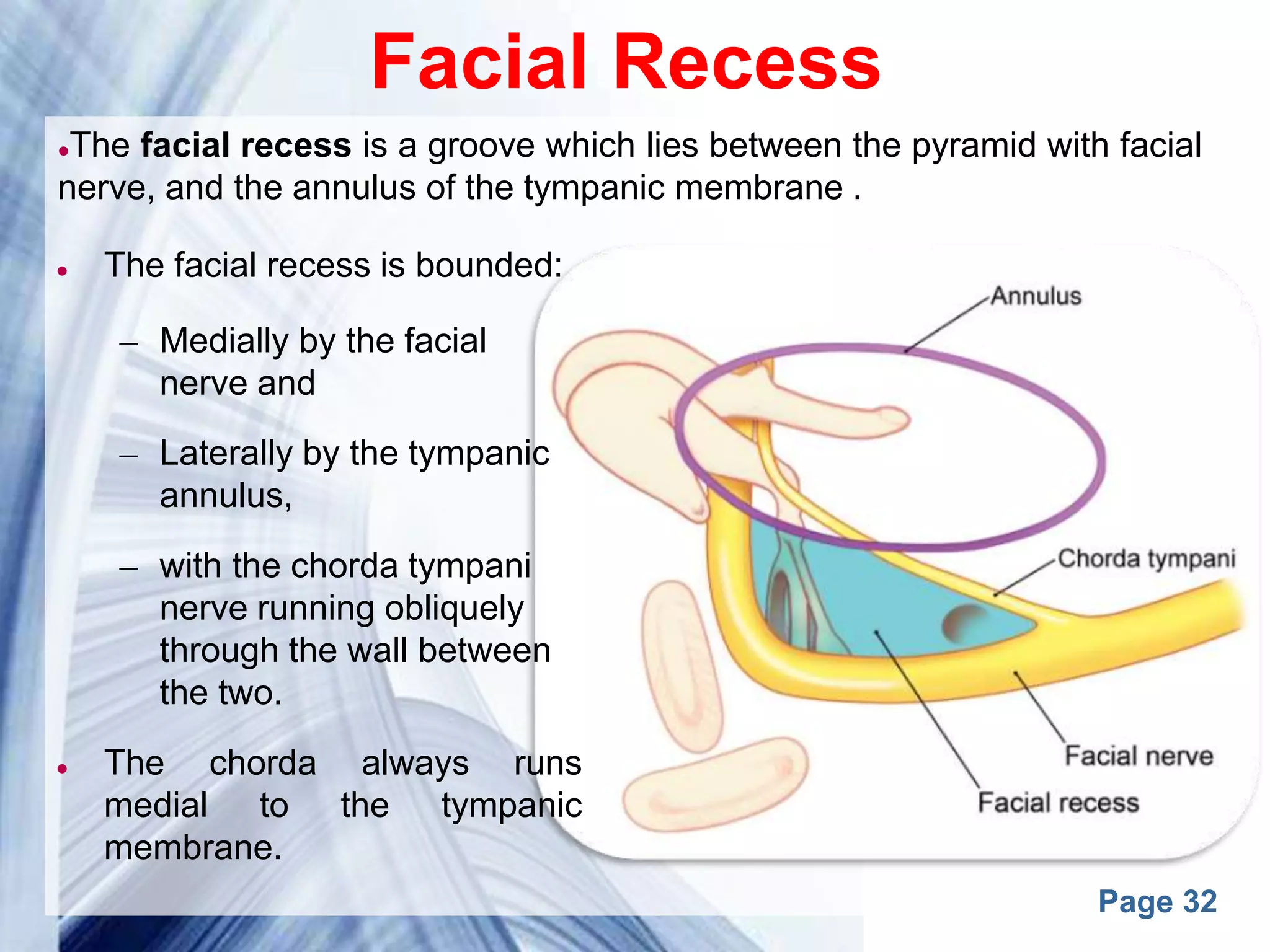Middle ear anatomy | PPTX