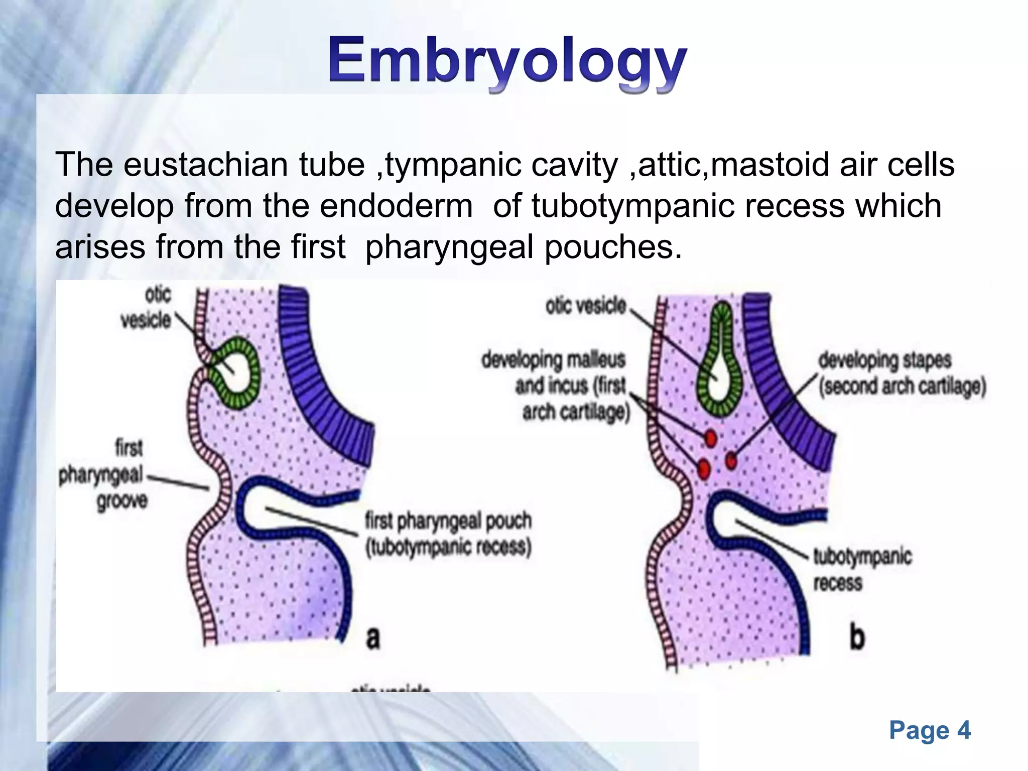 Middle ear anatomy | PPTX
