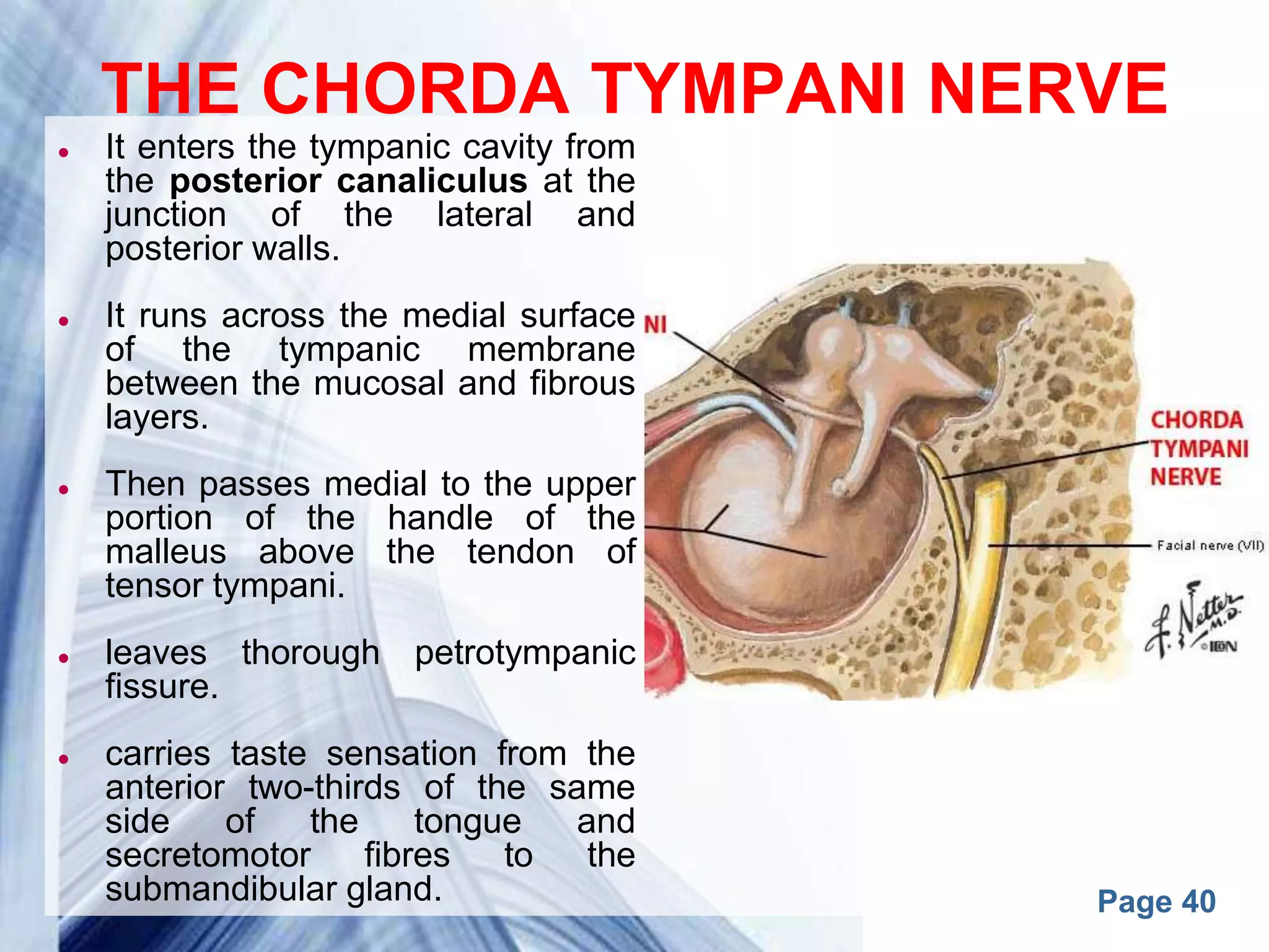 Middle ear anatomy | PPTX