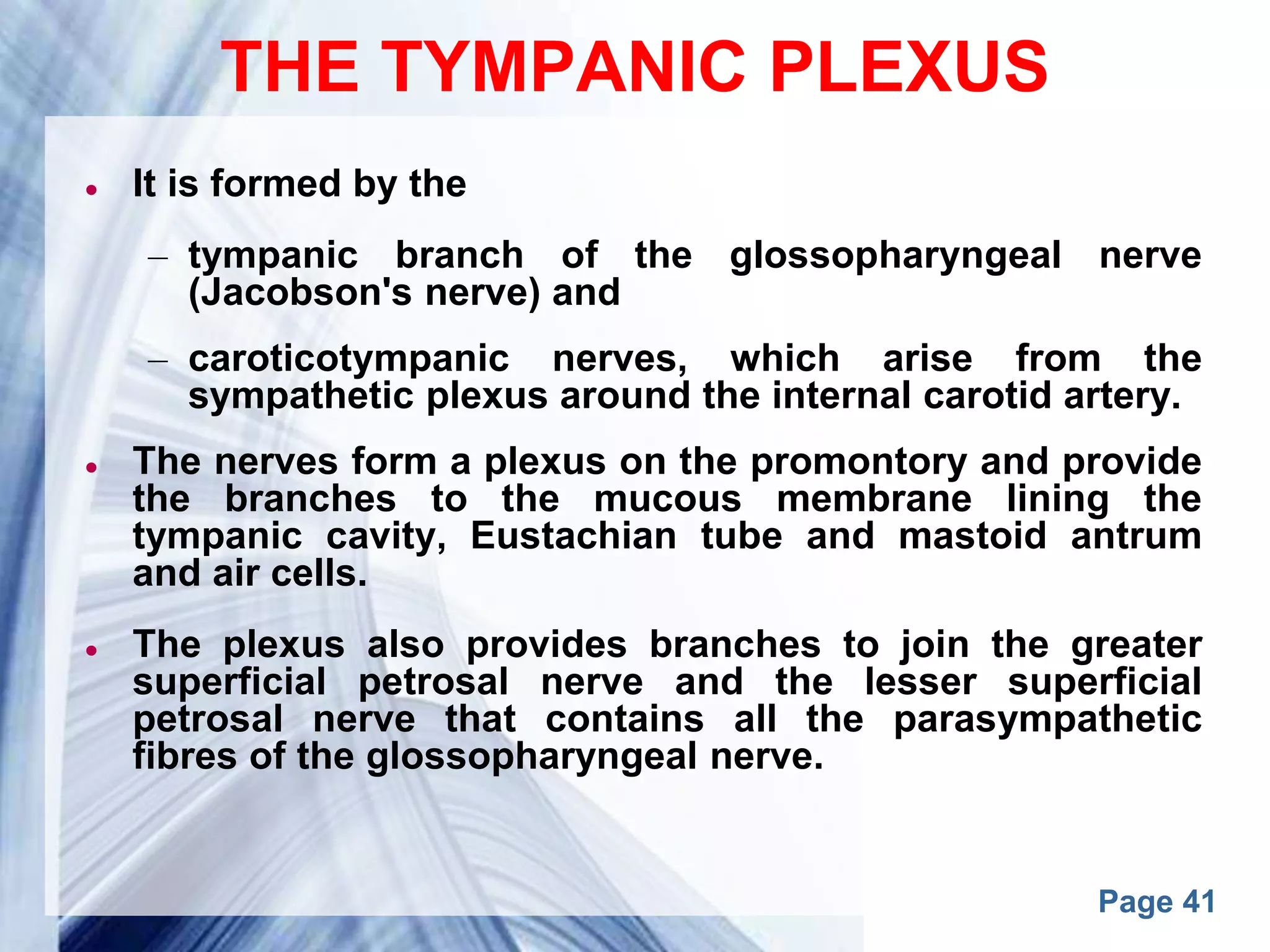 Middle ear anatomy | PPTX