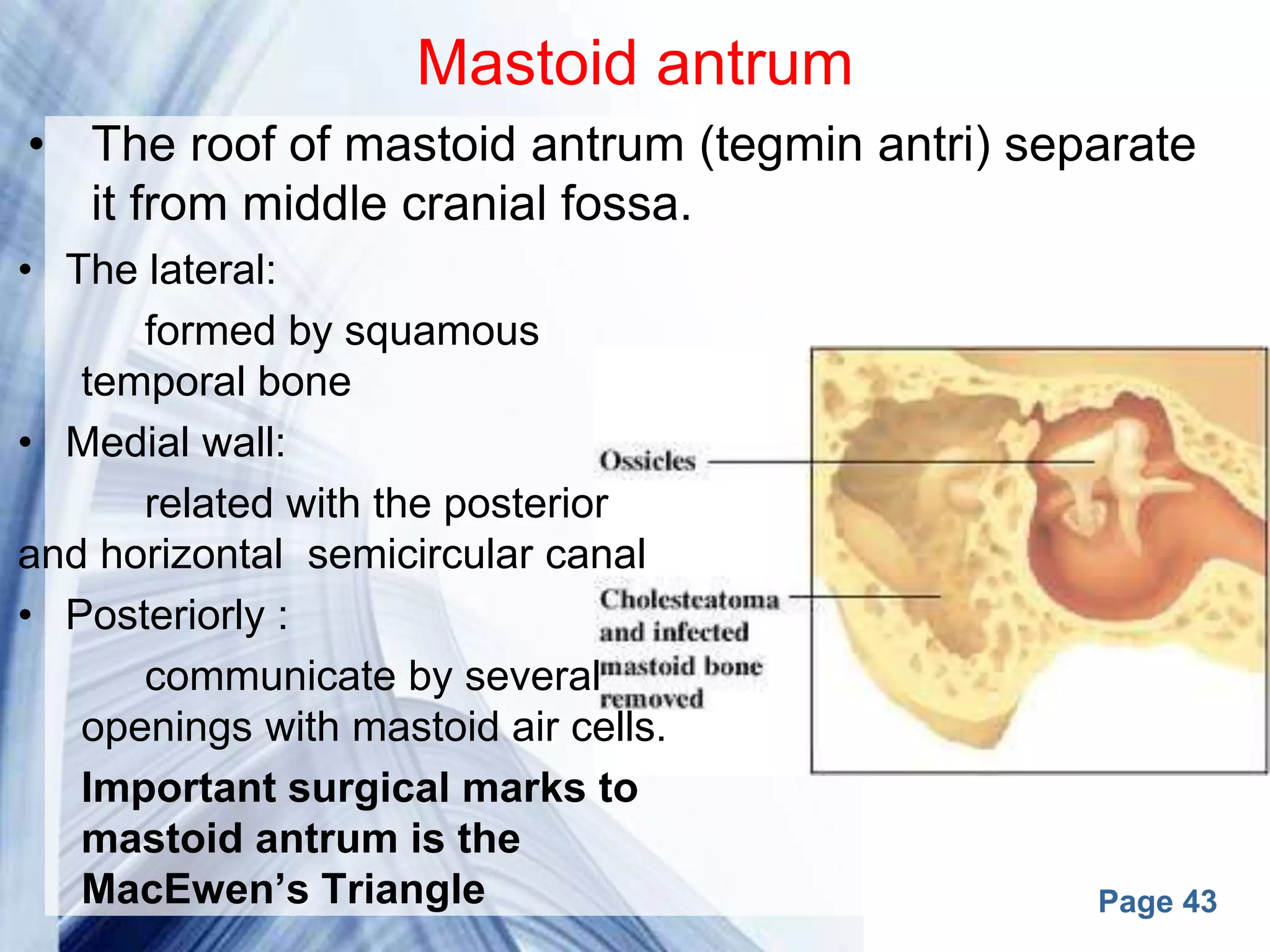 Middle ear anatomy | PPTX