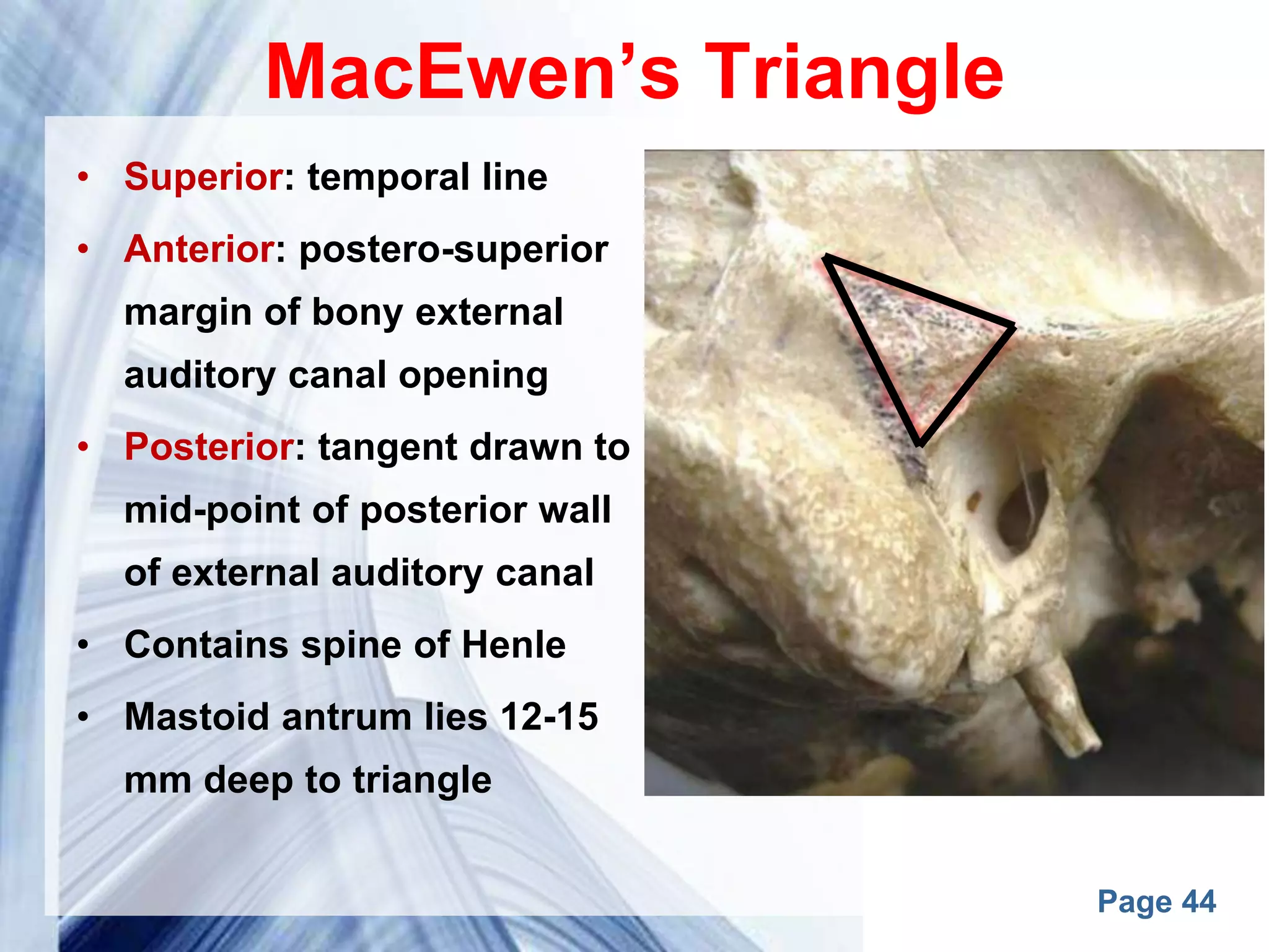 Middle ear anatomy | PPTX