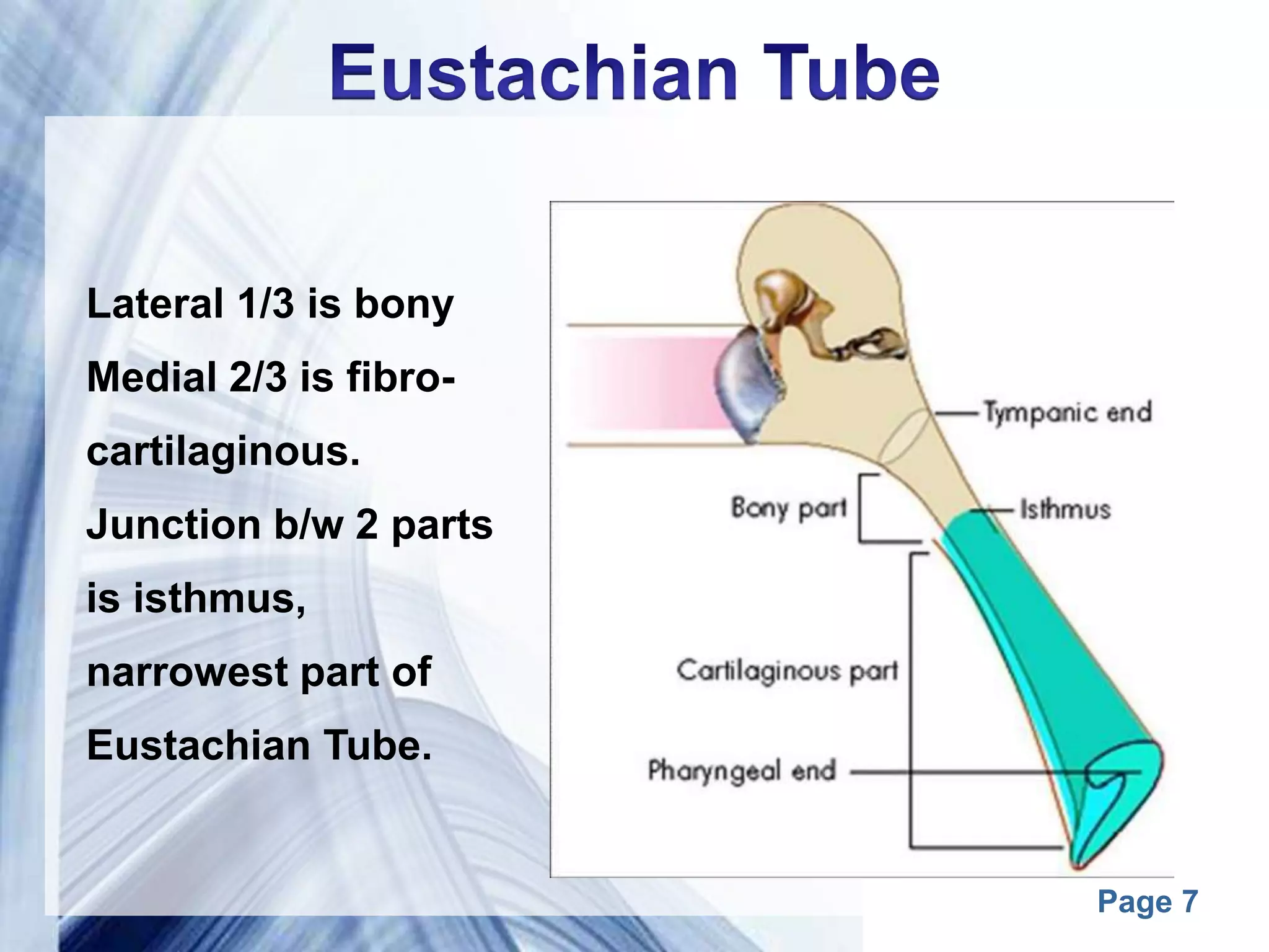 Middle ear anatomy | PPTX