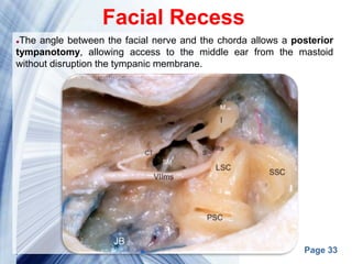 Middle ear anatomy | PPTX