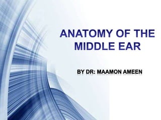 Inner Ear Anatomy Ppt