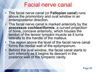 Middle ear anatomy | PPT
