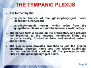 Middle ear anatomy | PPT