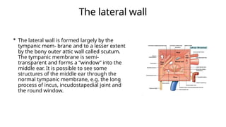 Anatomy of the Ear:Middle ear anatomy new.pptx