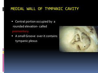 Middle ear anatomy raju 1 | PPTX