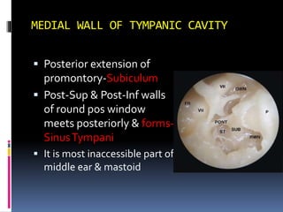 Middle ear anatomy raju 1 | PPT