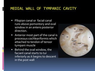Middle ear anatomy raju 1 | PPTX