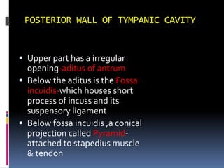 Middle ear anatomy raju 1 | PPT
