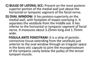 Middle ear__anatom_ytuesday[1] | PPTX