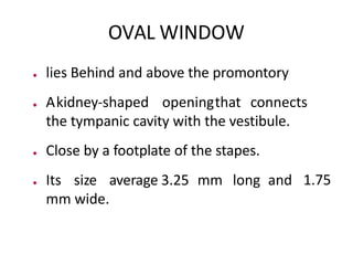 middle ear anatomy and eustachian tube dysfunction .pptx