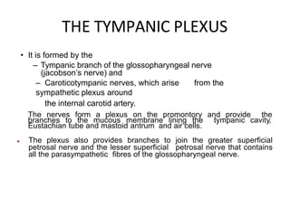 middle ear anatomy and eustachian tube dysfunction .pptx