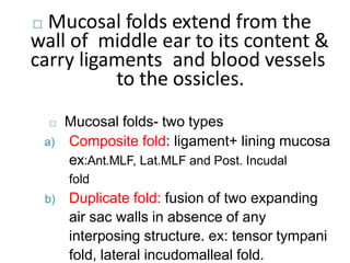 middle ear anatomy and eustachian tube dysfunction .pptx