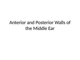 Middle_Ear_Anterior_Posterior_Walls_Presentation.pptx
