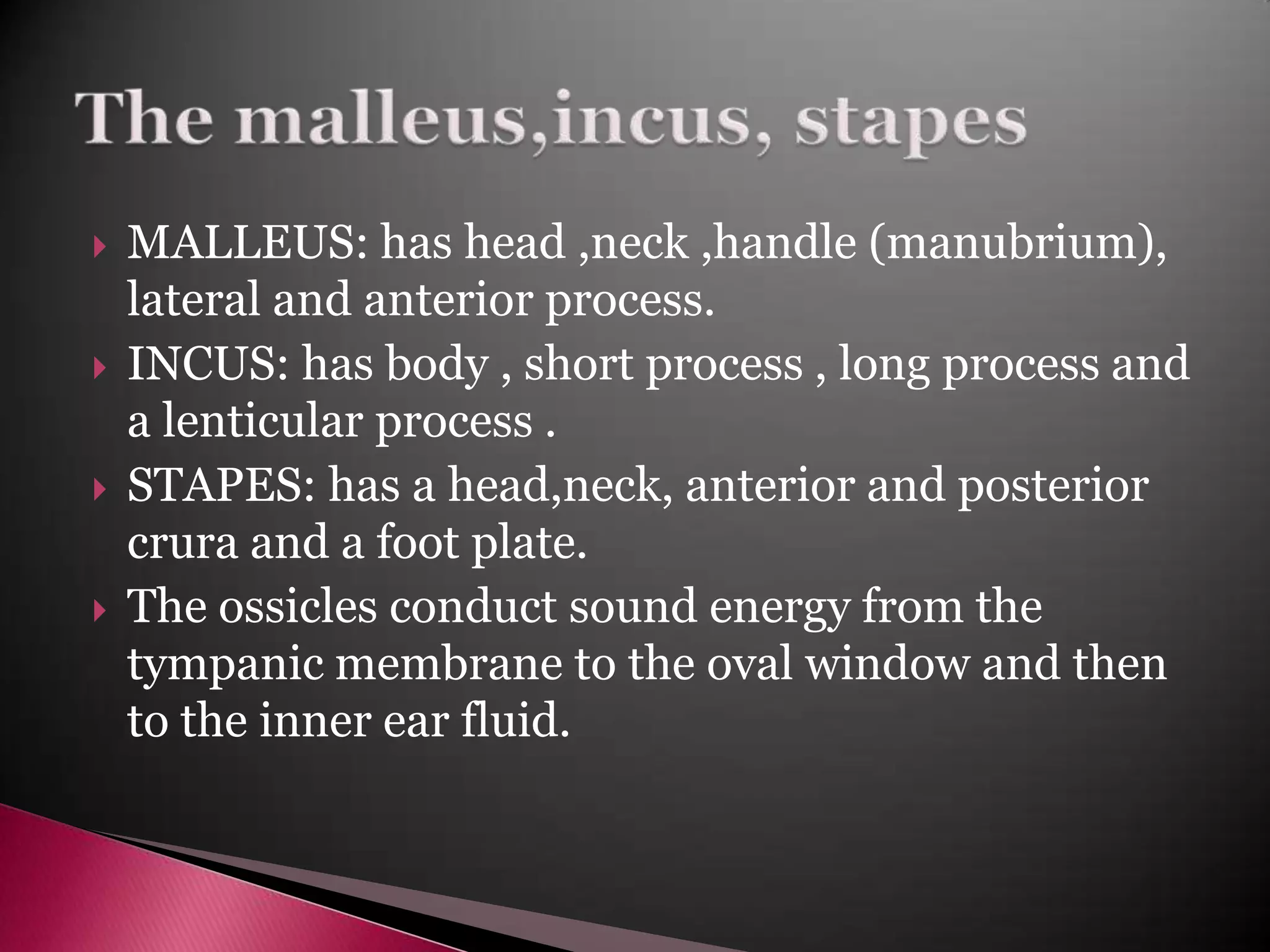 Middle ear by arifa | PPTX