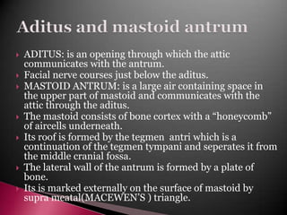 Middle ear by arifa | PPTX