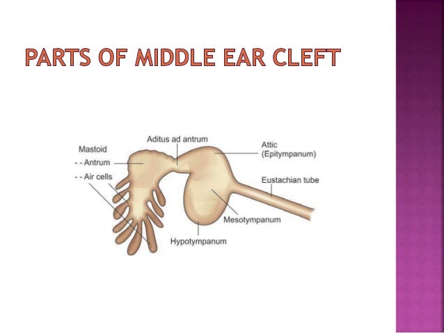 Middle ear by Dr.Rohit