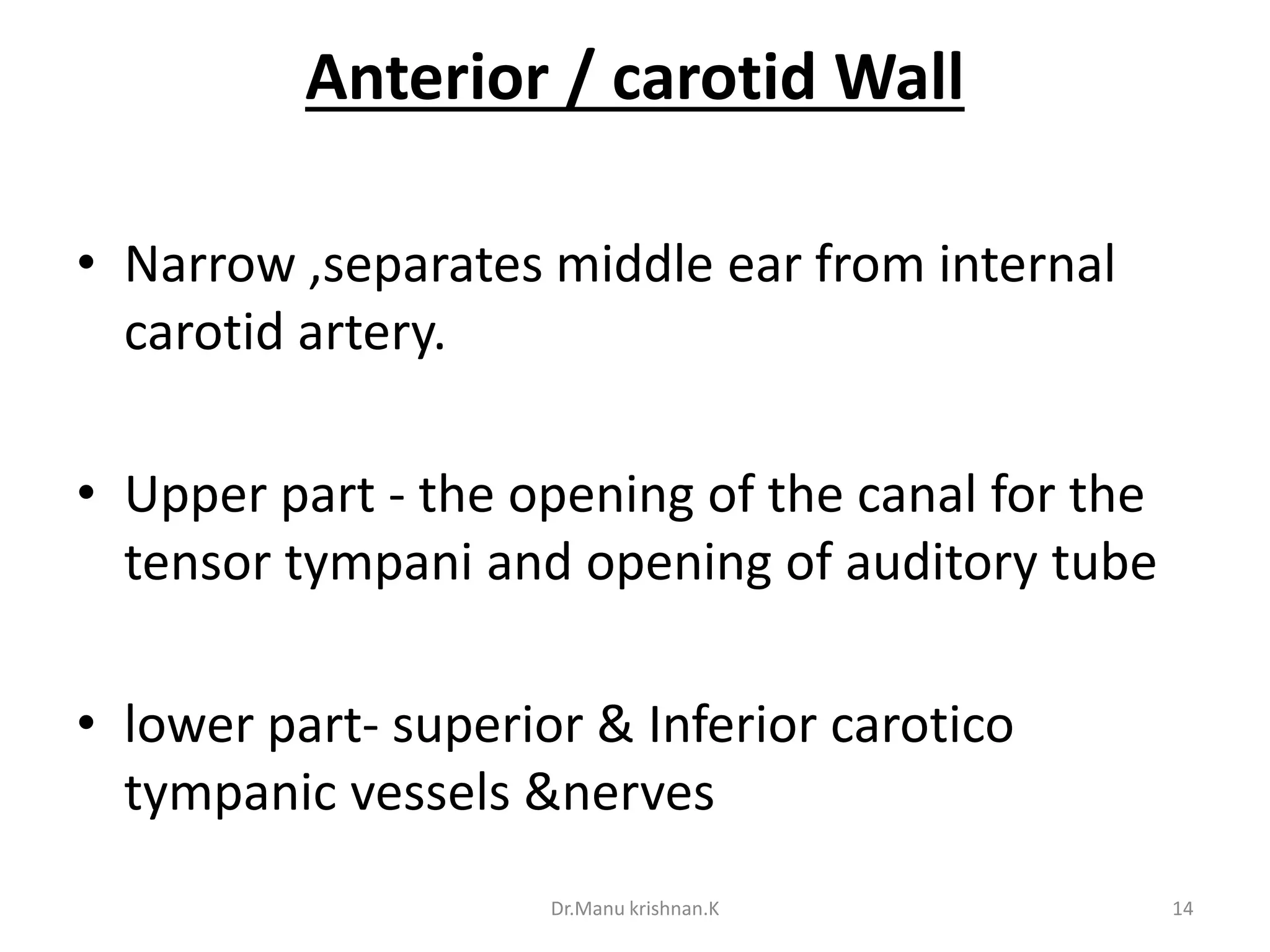 Middle ear cavity(with handmade illustrations) | PPTX