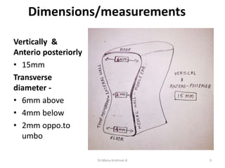 Middle ear cavity(with handmade illustrations) | PPTX
