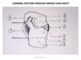 Middle ear cavity(with handmade illustrations) | PPTX
